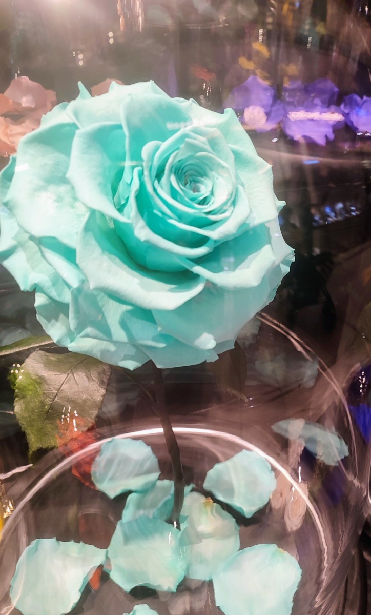 THE ROSES OF THE YEAR 2022-23 / FROM LONDON: “ROSES IN GLASS HOUSES ...